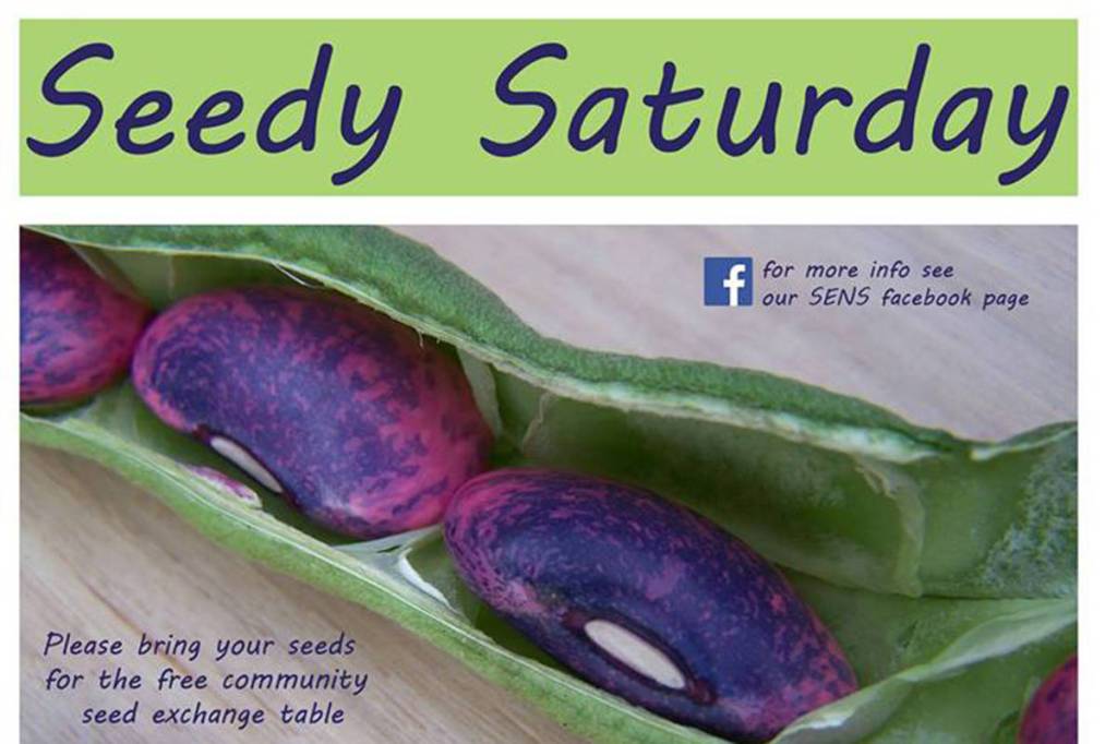Seedy Saturday set | Vernon Morning Star