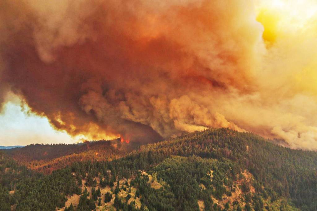 Letter: North-Okanagan Shuswap politicians urged to make climate change ...